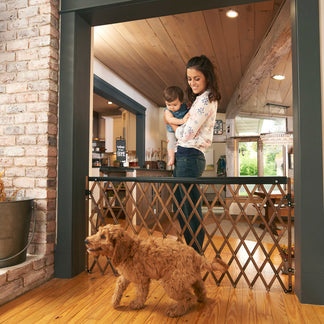 Expansion Walk-Thru Baby Gate | Evenflo® Official Site