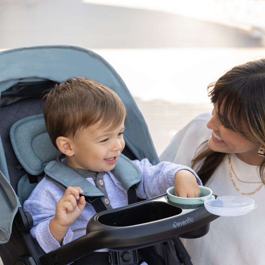 Evenflo Evenflo Omni Ultra Travel System with Revolve180 LiteMax NXT ...