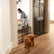 Evenflo Position & Lock Baby Gate - Easy Install | Evenflo® Official ...